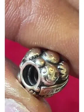 Pandora | Jewelry | Authentic Pandora Sterling Silver Retired Family ...